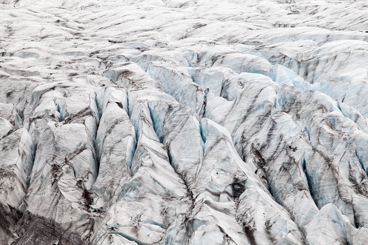 Nature photography grant - Hasselblad Foundation