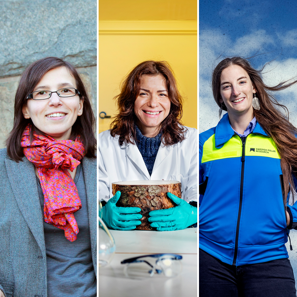 Arctic clouds, green chemistry and healthier aging - Hasselblad Foundation